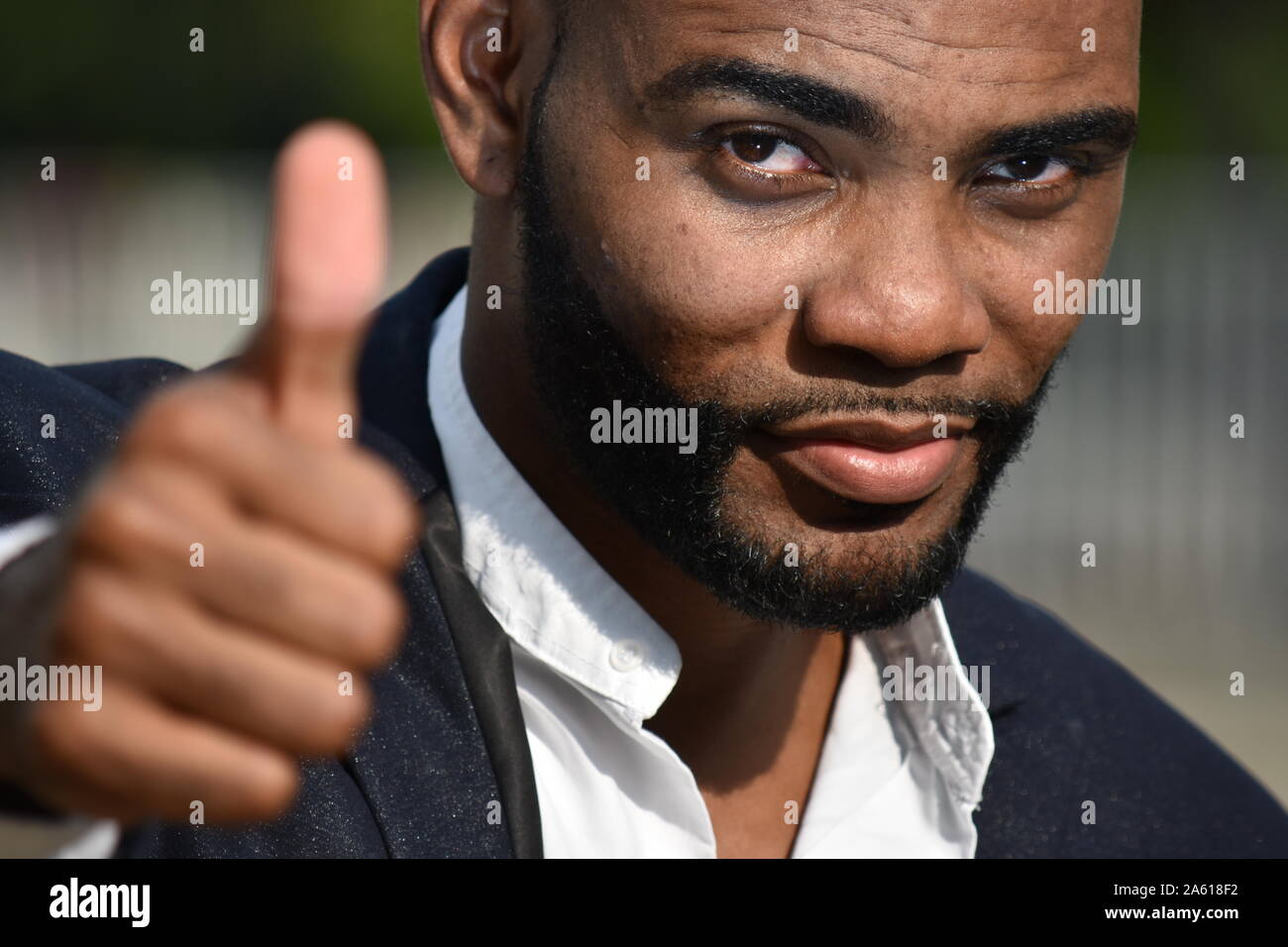 Successful Adult Male Stock Photo - Alamy