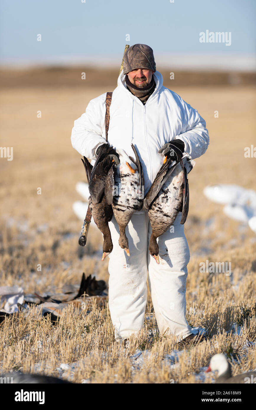 A Goose hunter in Saskatchewan Stock Photo - Alamy