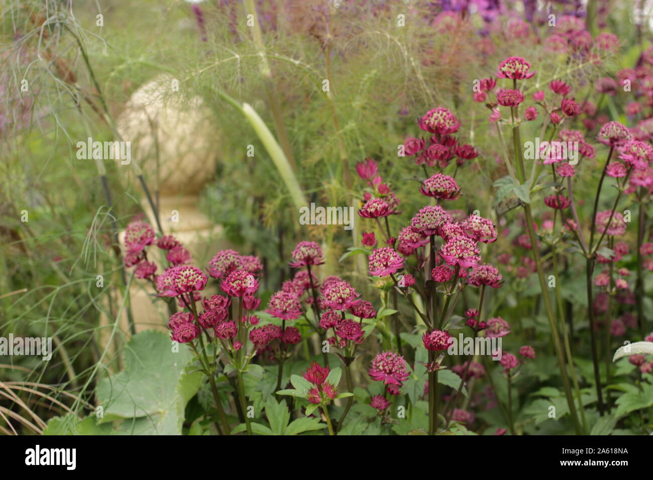Long borders hi-res stock photography and images - Alamy