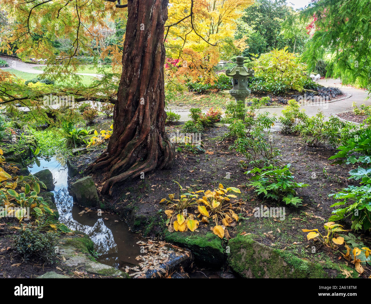 Japanese garden valley gardens harrogate hi-res stock photography and ...