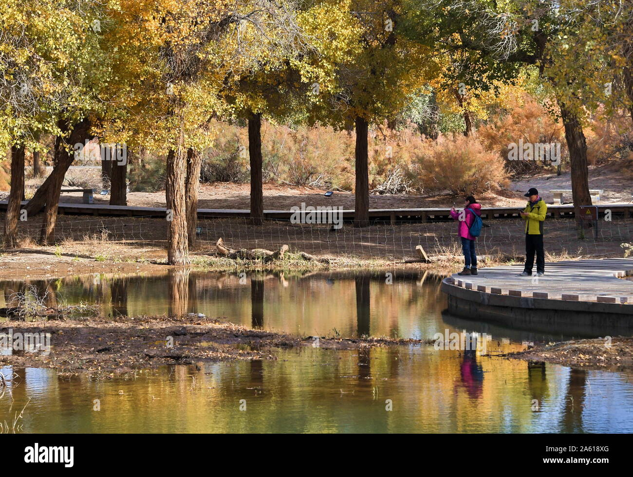 Alxa, China's Inner Mongolia Autonomous Region. 22nd Oct, 2019 ...