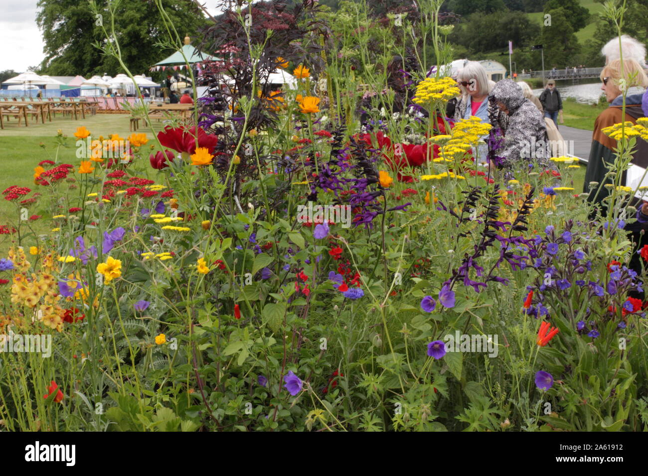 Long borders hi-res stock photography and images - Alamy