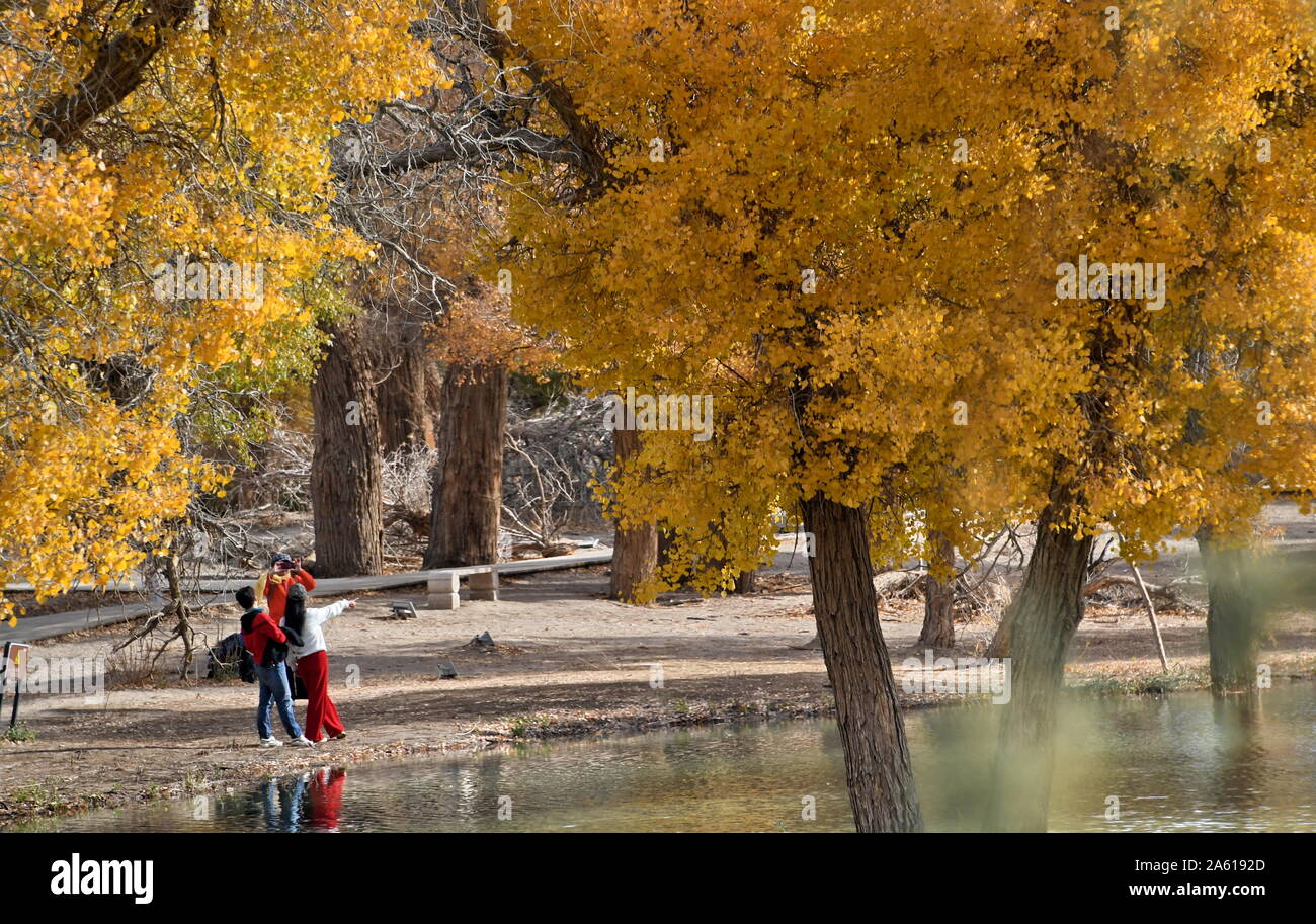 Alxa, China's Inner Mongolia Autonomous Region. 22nd Oct, 2019 ...