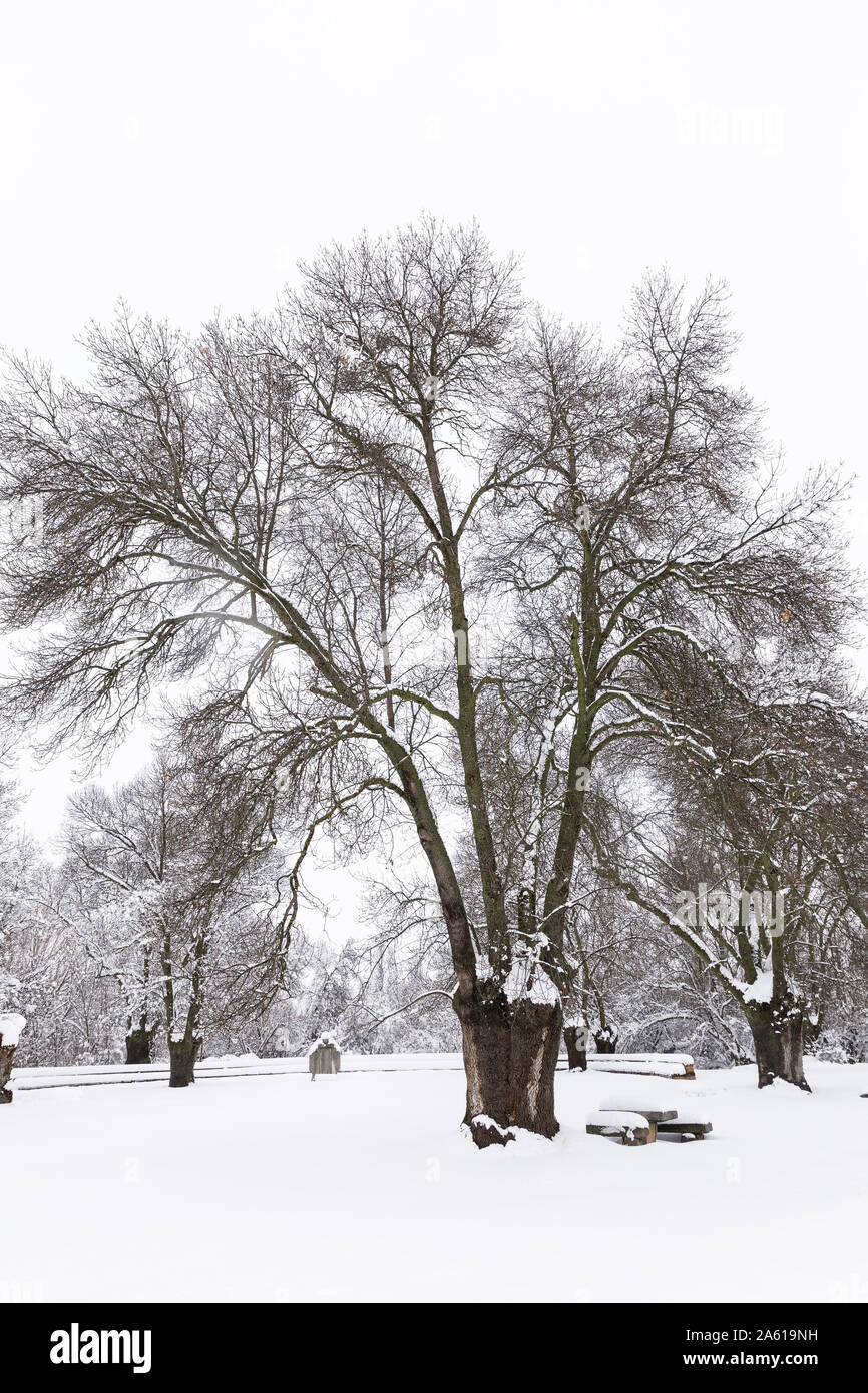 Beautiful day but cold Cut Out Stock Images & Pictures - Alamy