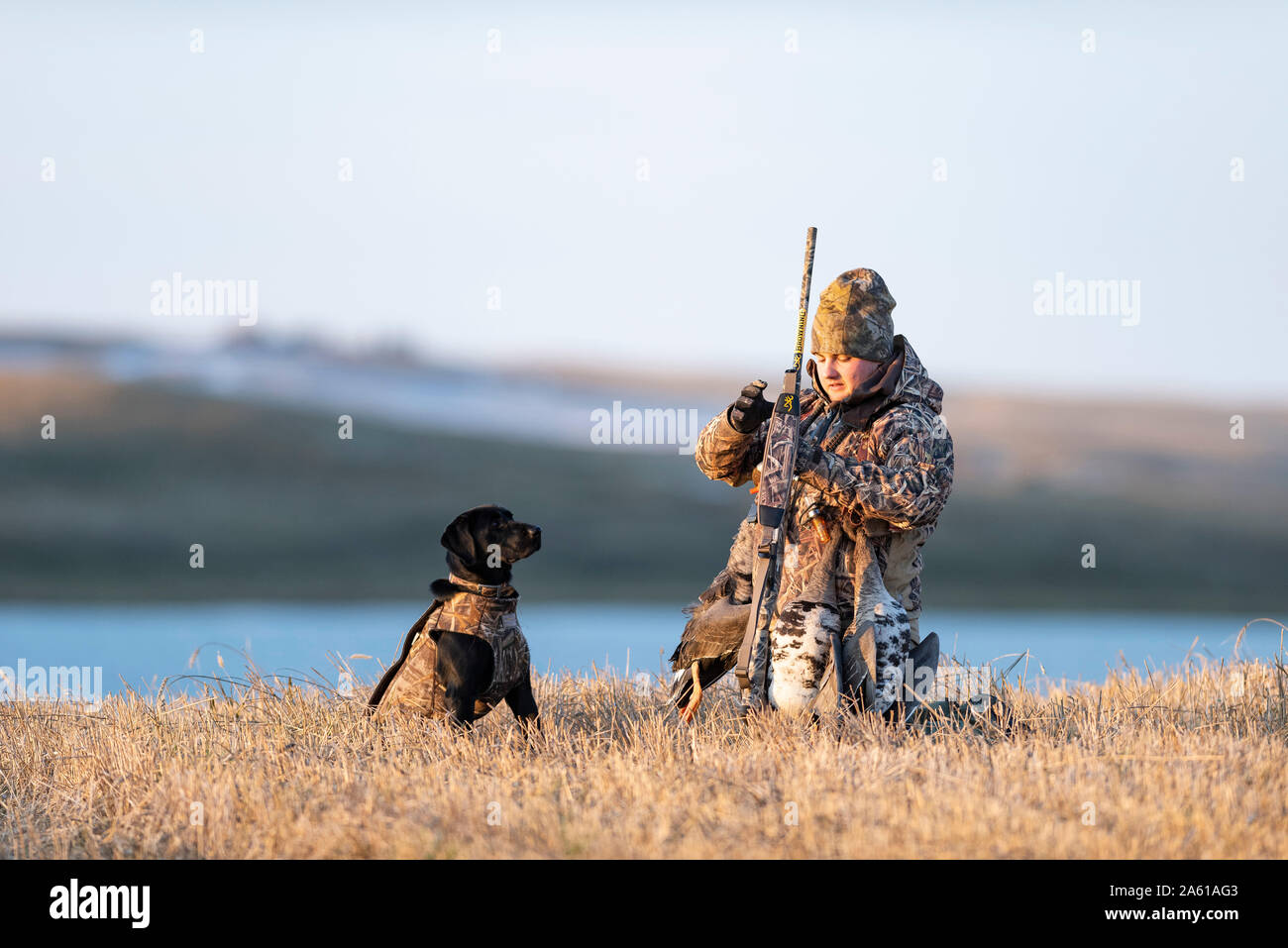 A Young Goose hunter with his Black Labrador Retriever Stock Photo - Alamy
