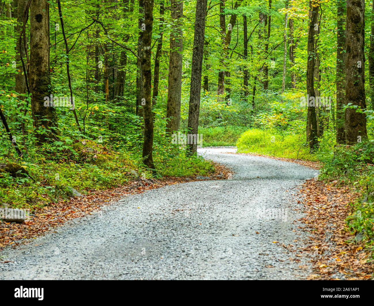 Prong hi-res stock photography and images - Alamy