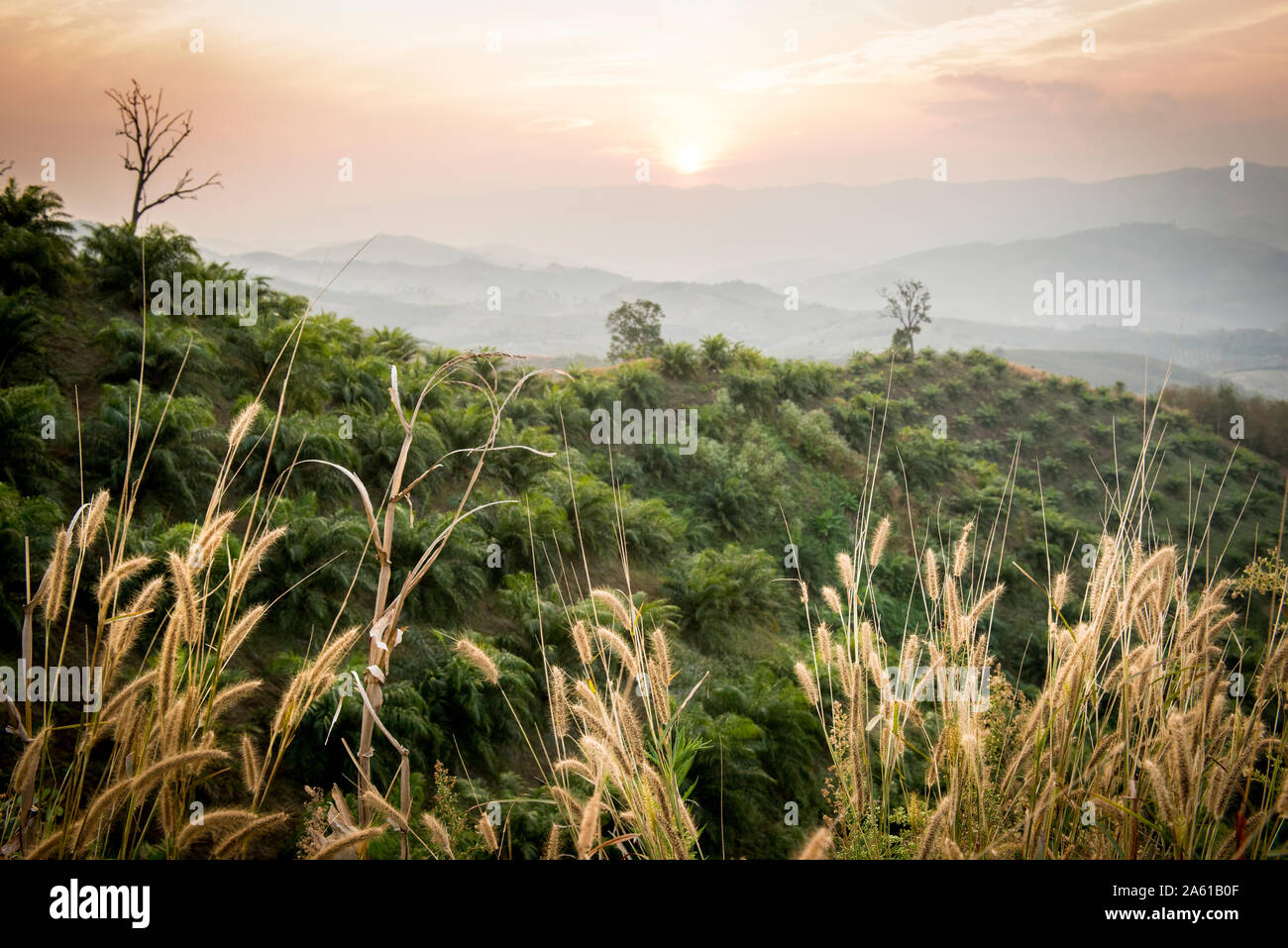 A serene view of the Hmong village of Khun Sathan nestled in the lush ...
