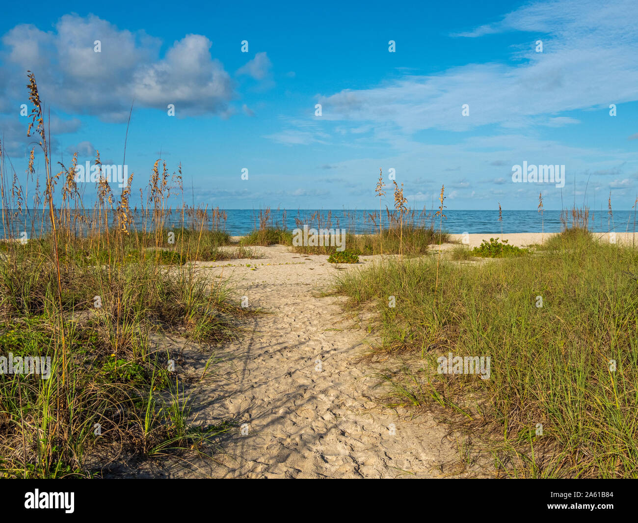 Sandy path to Nokomis Beach on Gulf of Mexico in early morning light on ...