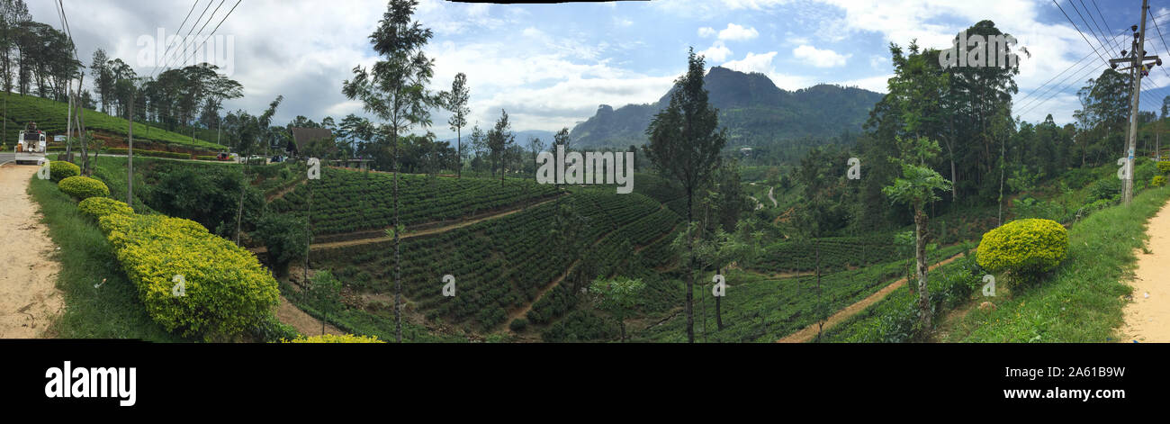 test from iPad Stock Photo - Alamy