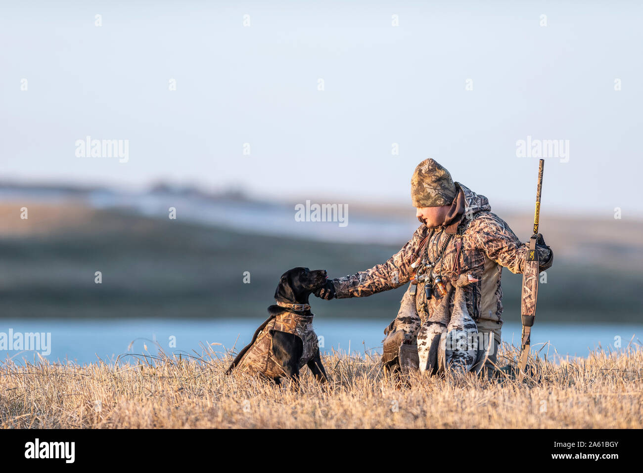 A Young Goose hunter with his Black Labrador Retriever Stock Photo - Alamy