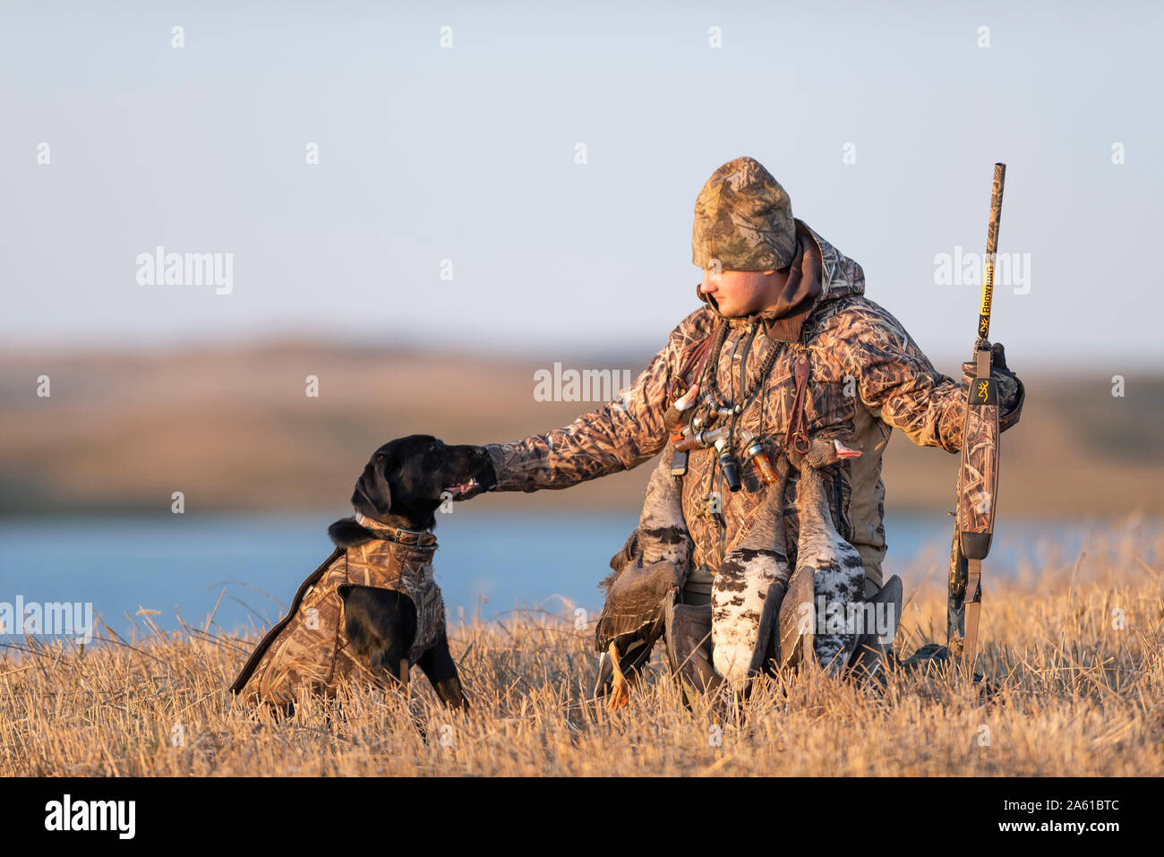 A Young Goose hunter with his Black Labrador Retriever Stock Photo - Alamy