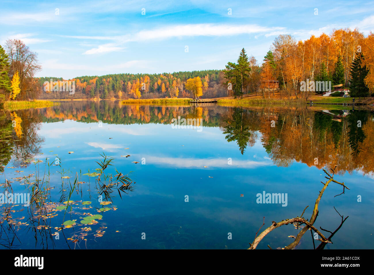 November garden landscape hi-res stock photography and images - Alamy