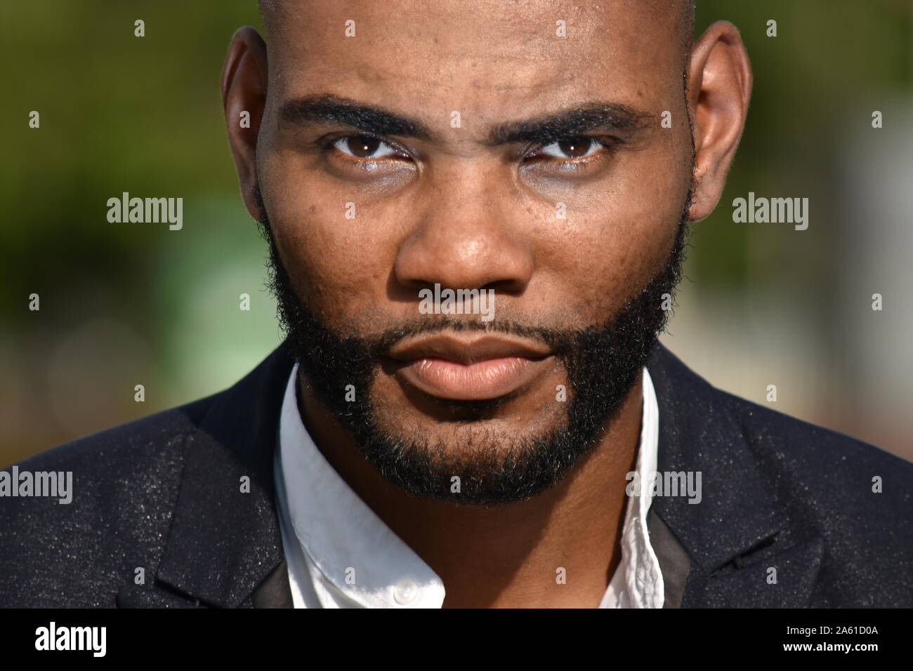 Serious Handsome Male Man Stock Photo - Alamy