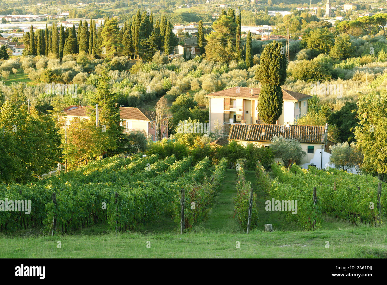 Italian landscapes, architecture and gardens beautiful views Stock ...