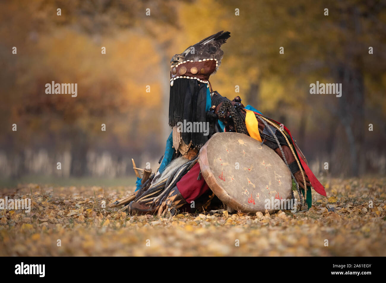 Mongolian shaman performing a ritual hi-res stock photography and ...