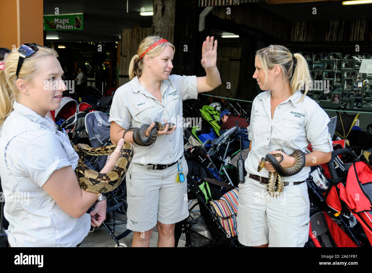 Three zoo keepers holding their snakes for visitors to see at the ...