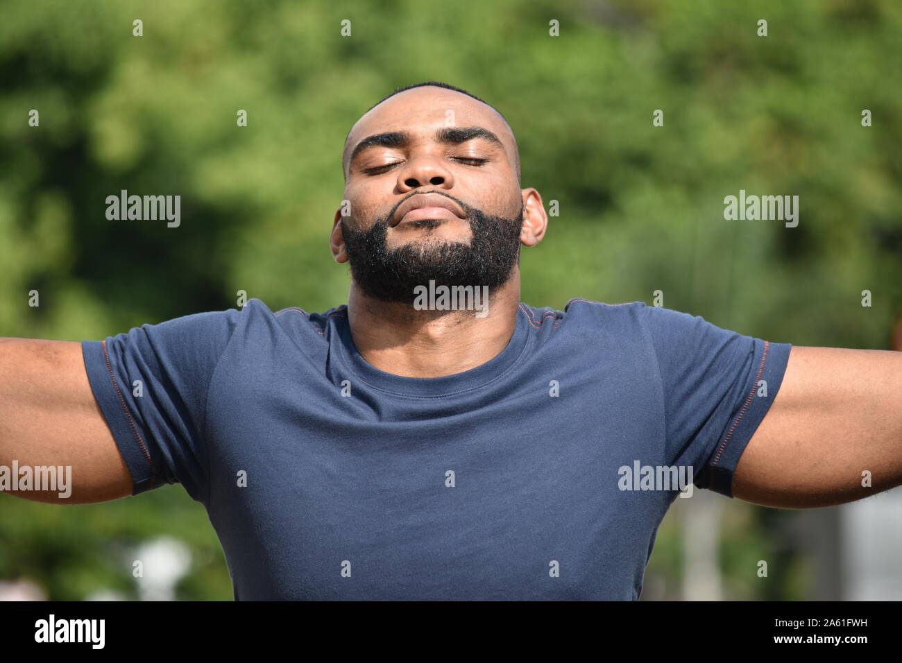 Muscular male hi-res stock photography and images - Alamy