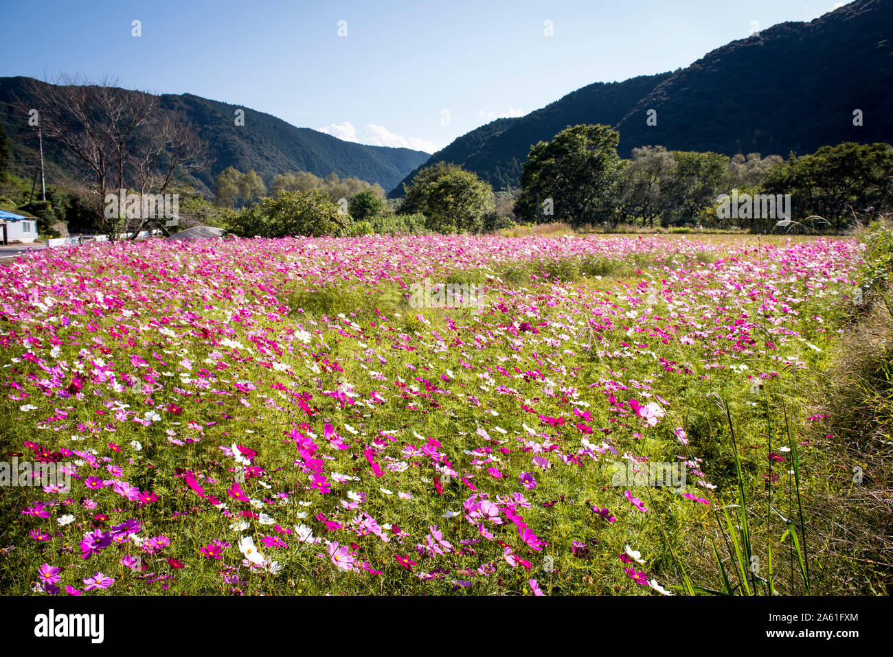 A serene view of the Shimanto River in Shikoku, Japan, where a simple ...
