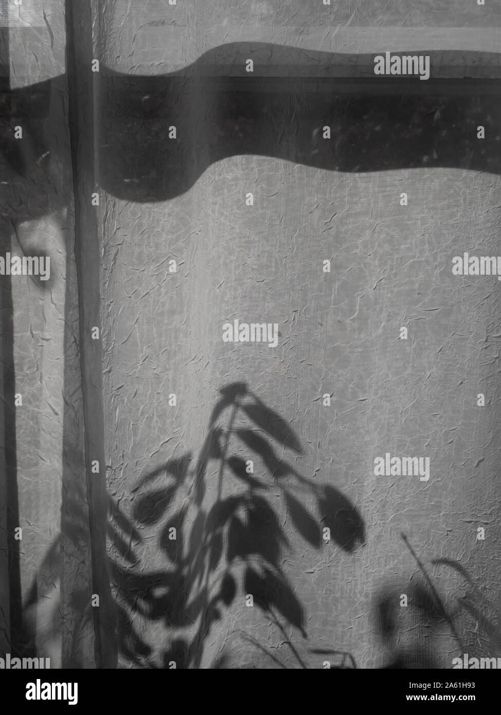 Shadows on curtain hi-res stock photography and images - Alamy