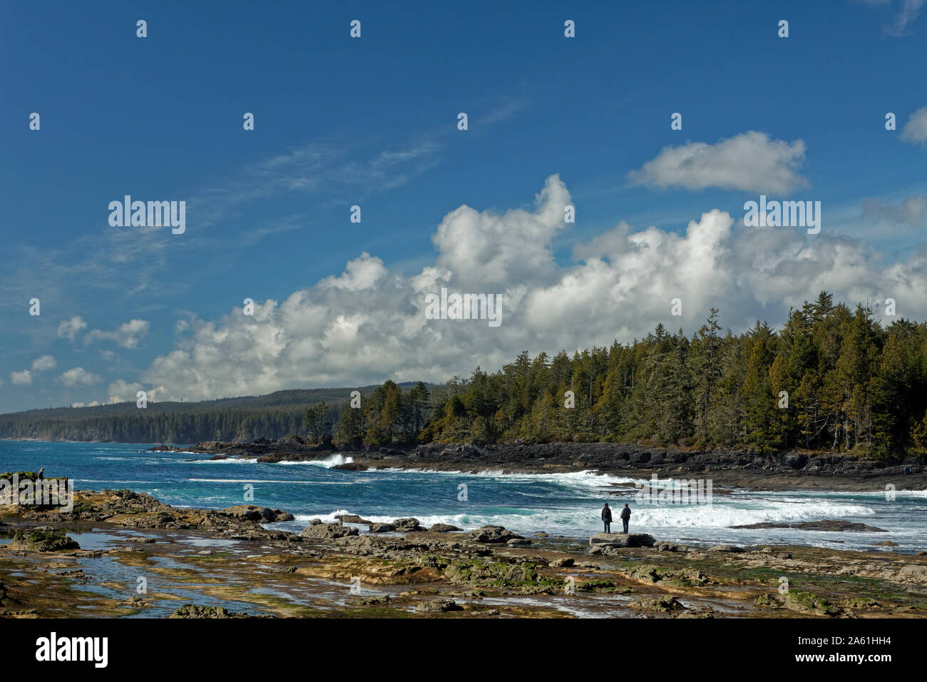 British spring water hi-res stock photography and images - Alamy
