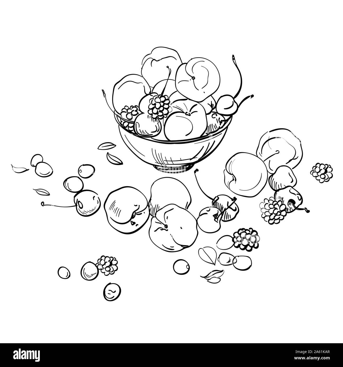 Hand draw illustarion of fresh fruit in a bowl. Peaches and cherries ...