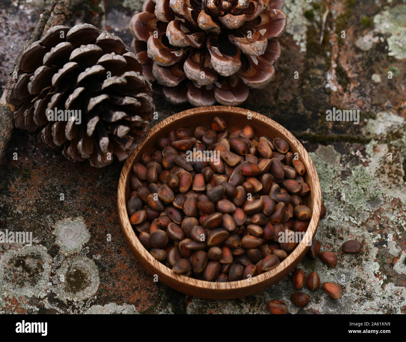 natural organic pine cones and nuts Stock Photo - Alamy