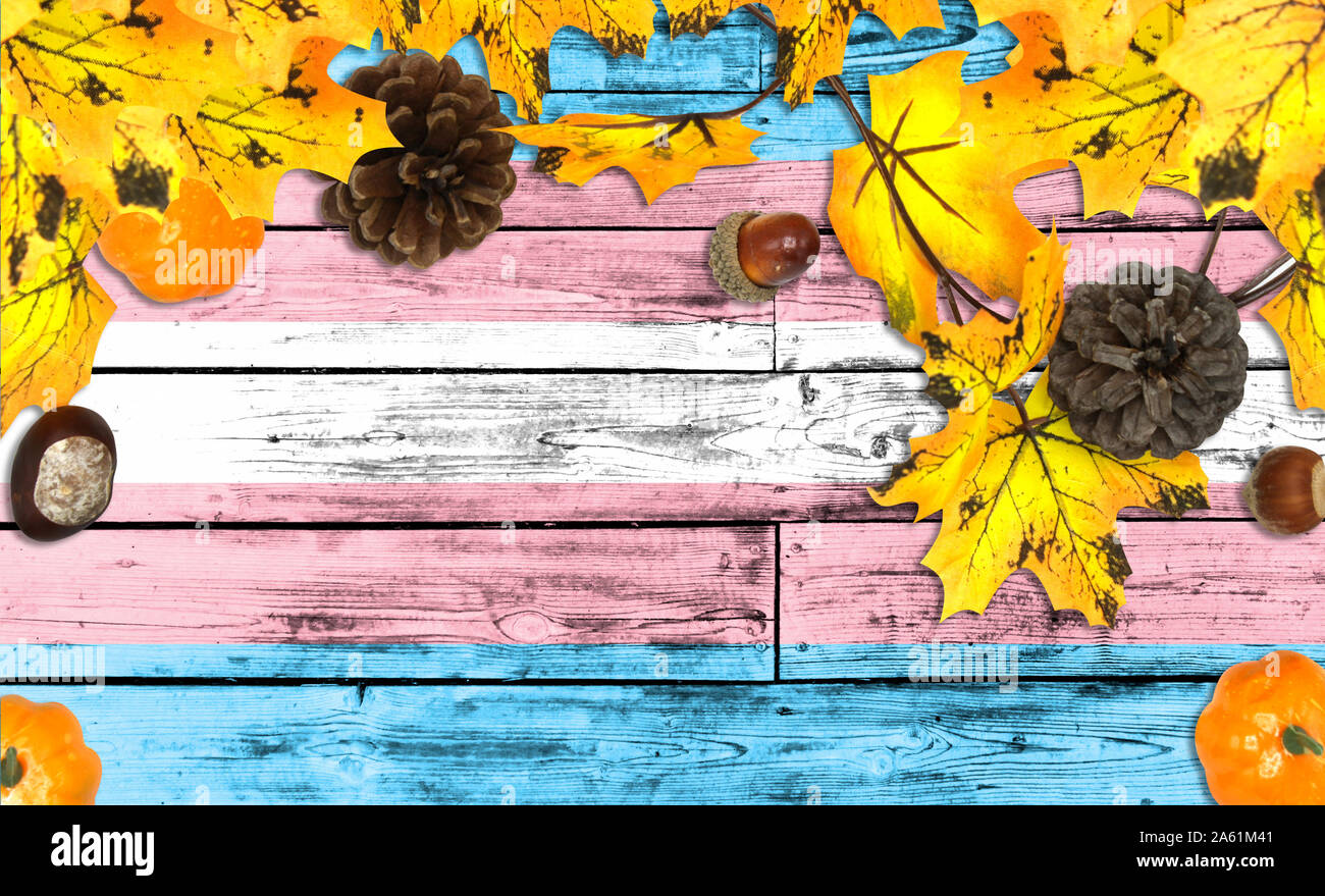 Transgender flag on autumn wooden background with leaves and good place ...
