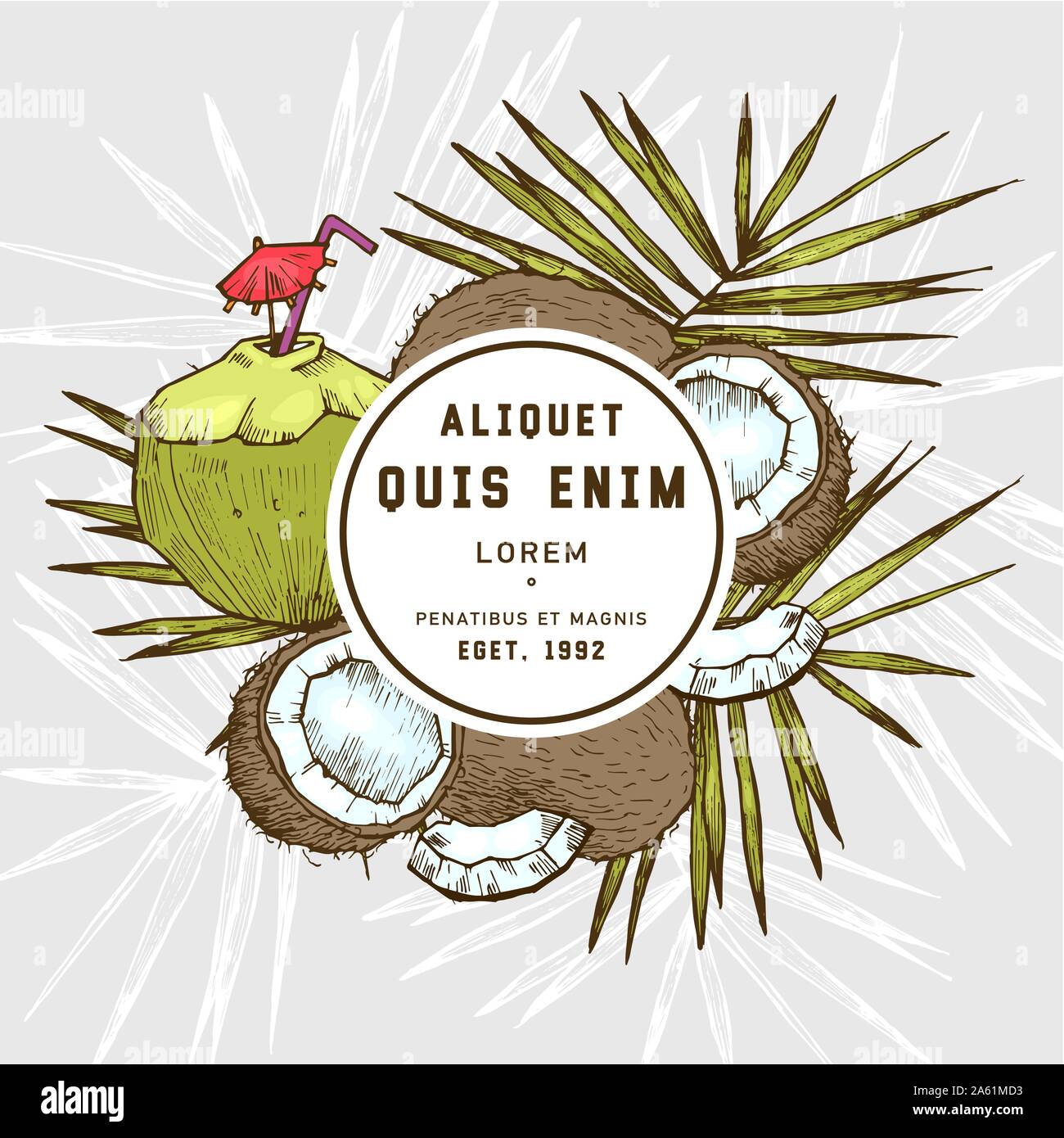 Sketch vector tropical food illustration. Coconut nut vintage design ...