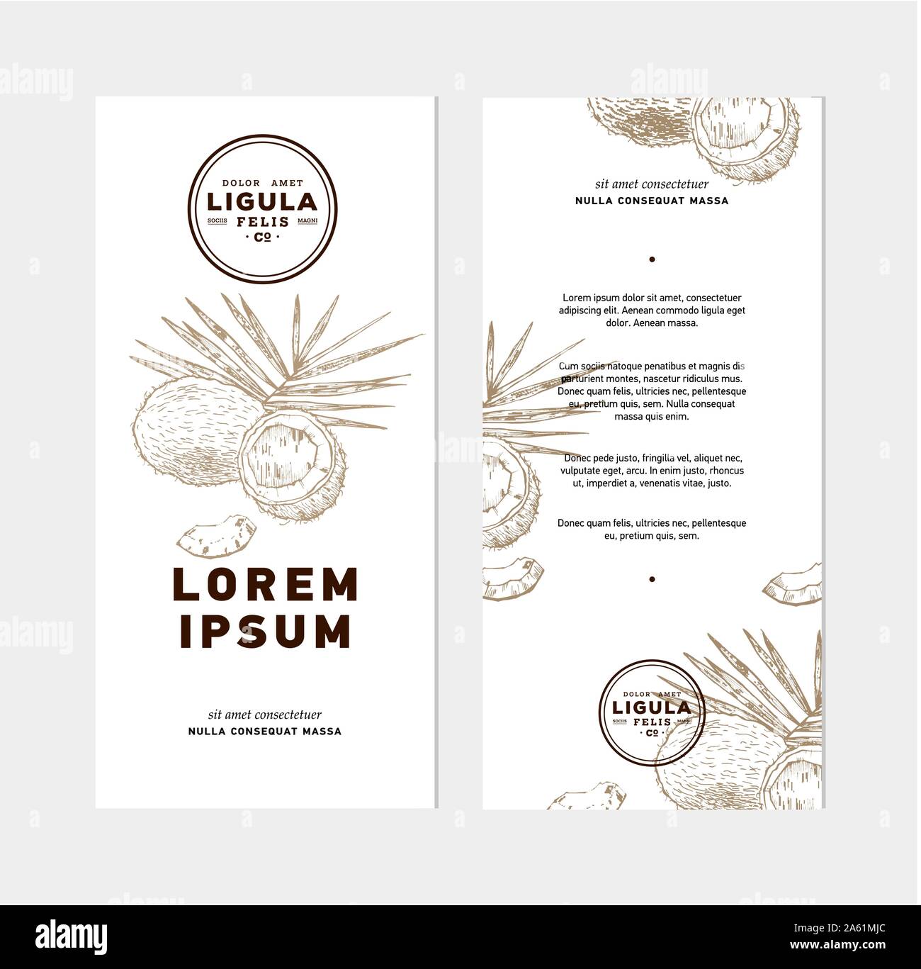 Sketch vector tropical food illustration. Coconut nut vintage design ...