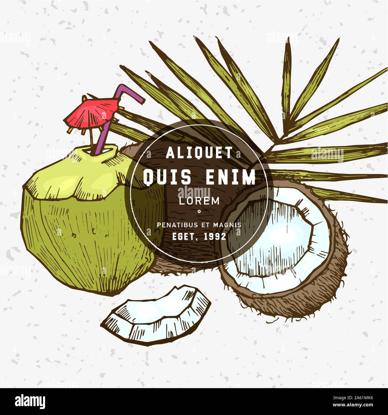 Sketch vector tropical food illustration. Coconut nut vintage design ...