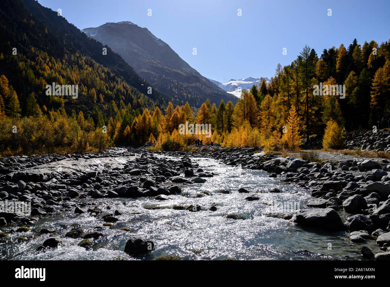 Morteratschtal in Richtung Morteratschgletscher, Graubünden, Schweiz ...