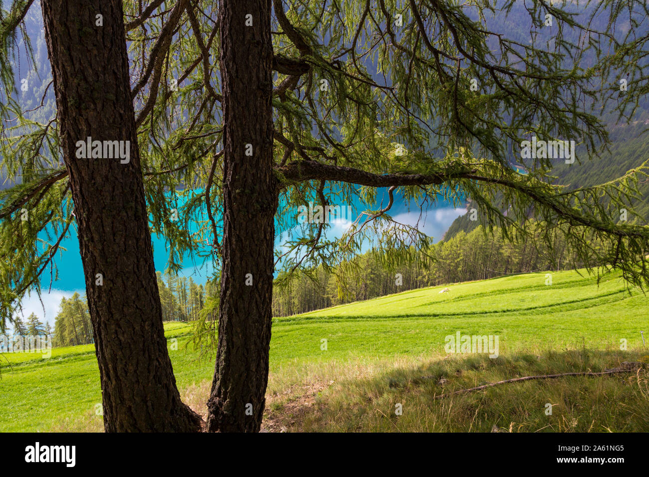 Alpine lake, Italy Stock Photo - Alamy