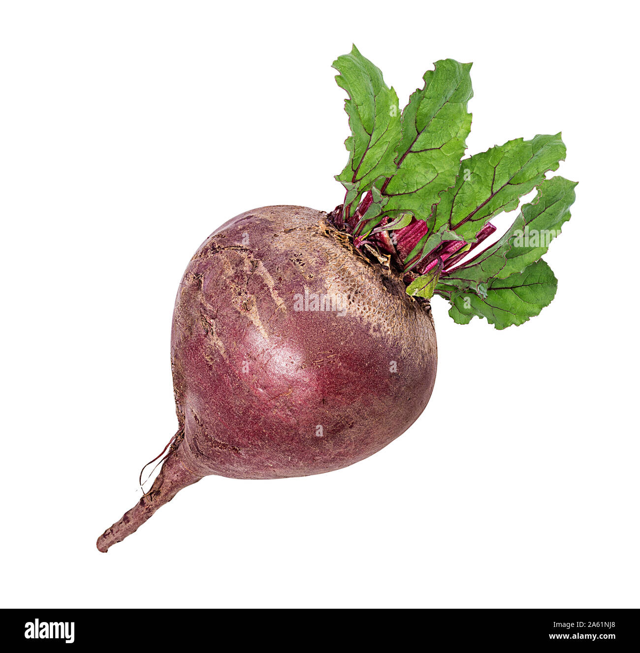 Beetroot with leaves isolated on white Stock Photo - Alamy