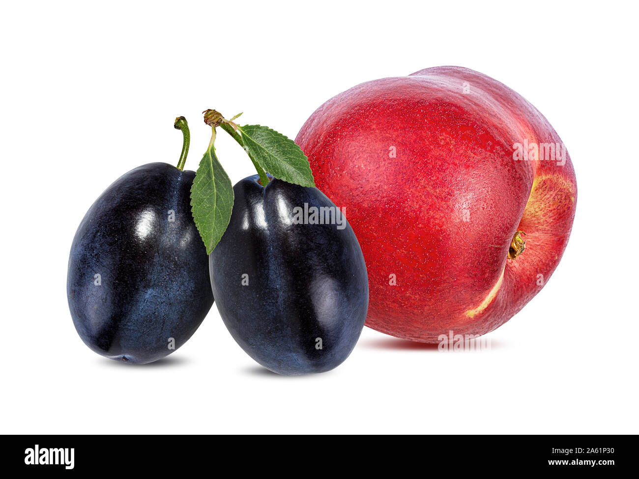 Peach and plum isolated on white background Stock Photo - Alamy