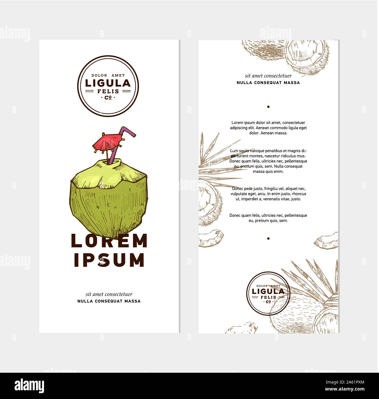 Sketch vector tropical food illustration. Coconut nut vintage design ...