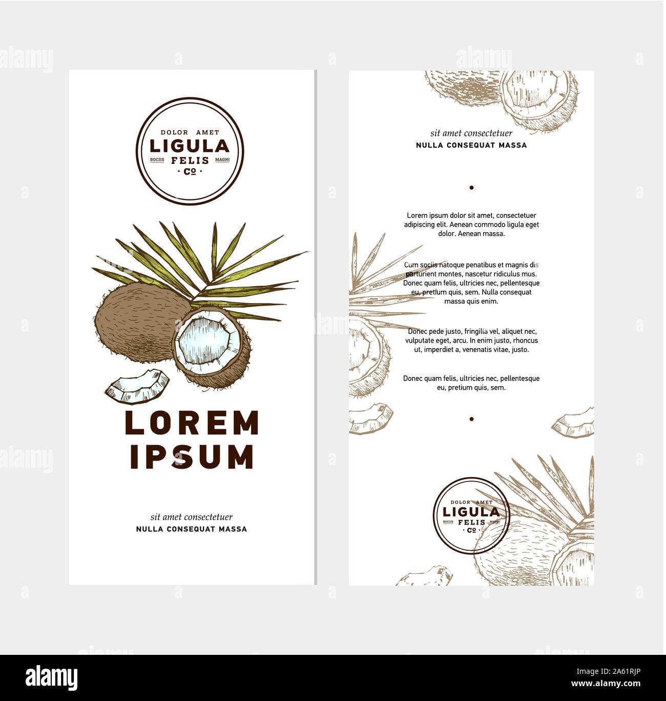 Sketch vector tropical food illustration. Coconut nut vintage design ...
