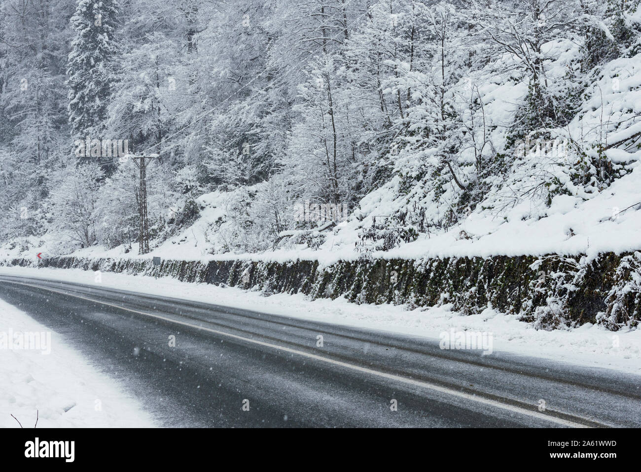 Snowy road scene in winter, with snowy trees, rocks and asphalt road ...