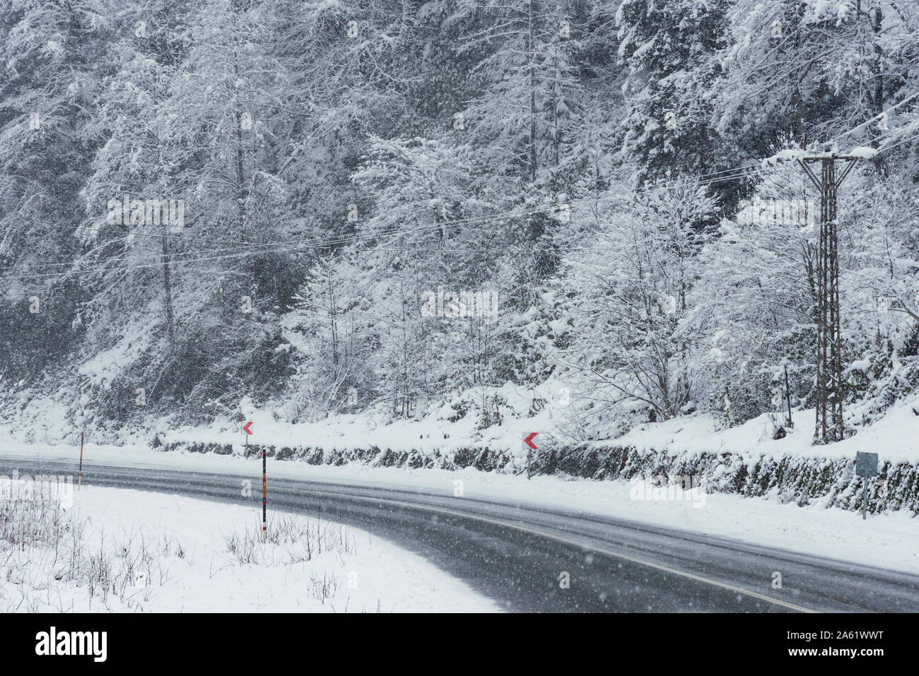 Snowy bending road scene in winter, with snowy trees, rocks and asphalt ...