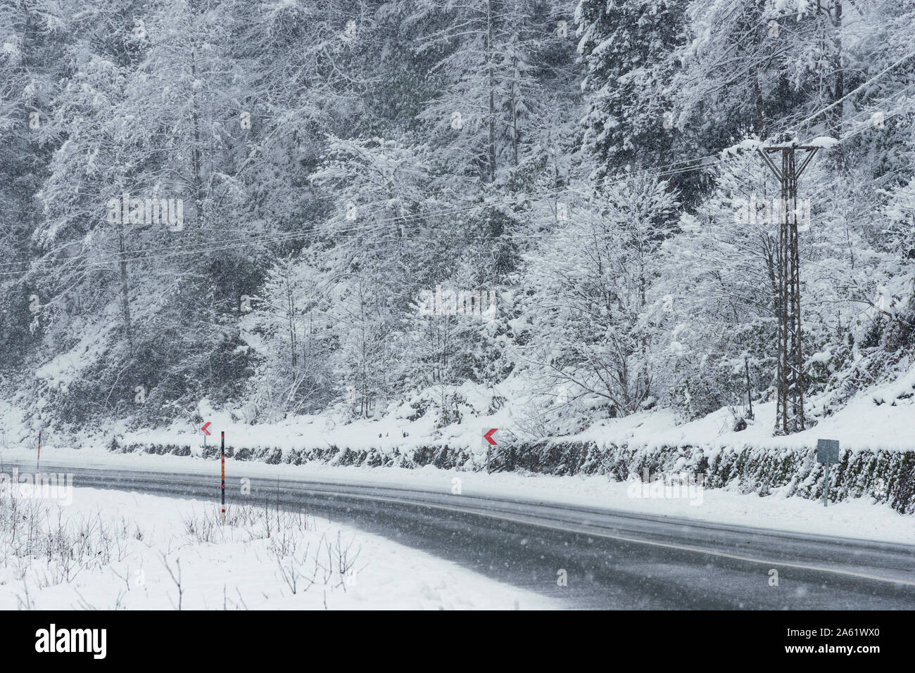 Snowy bending road scene in winter, with snowy trees, rocks and asphalt ...