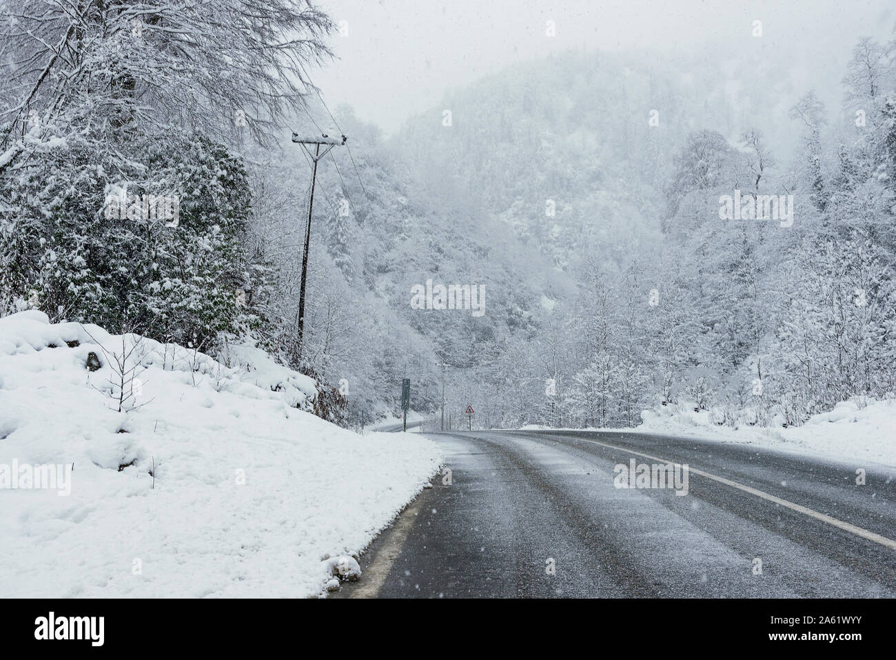 Snowy bending road scene in winter, with snowy trees, rocks and asphalt ...