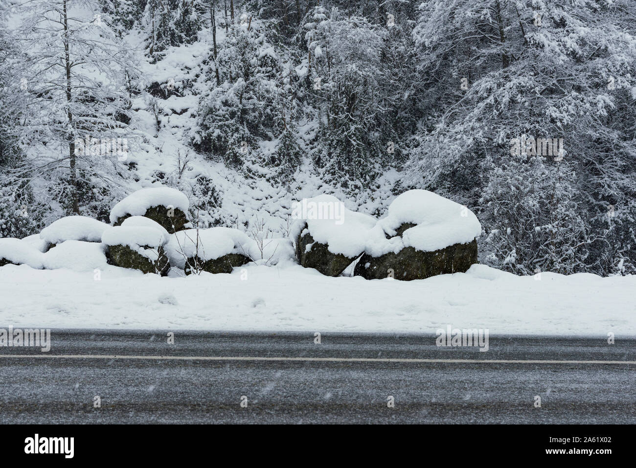 Snowy road scene in winter, with snowy trees, rocks and asphalt road ...