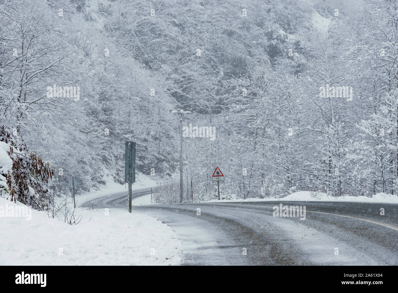 Snowy bending road scene in winter, with snowy trees, rocks and asphalt ...