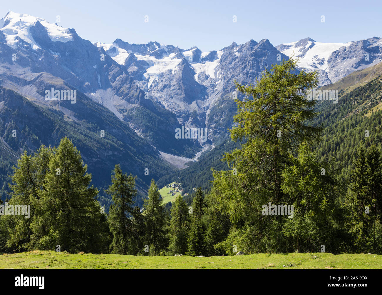 Ortler alps hi-res stock photography and images - Alamy