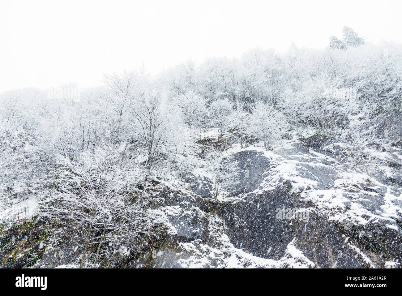 Snowy winter landscape with snowy trees and rocks Stock Photo - Alamy