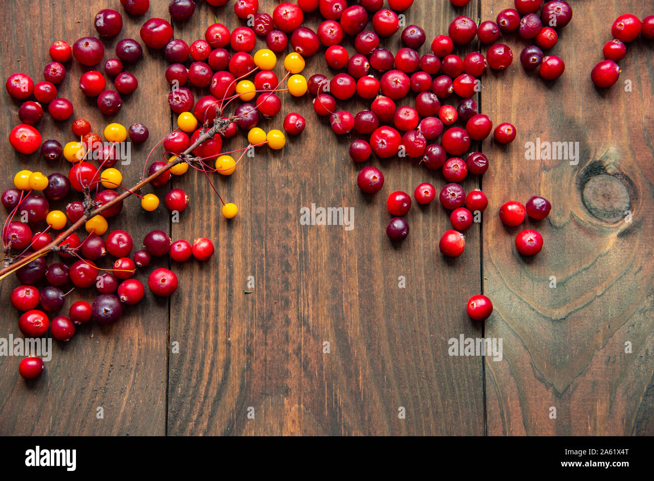 Happy birthday sweet pea hi-res stock photography and images - Alamy