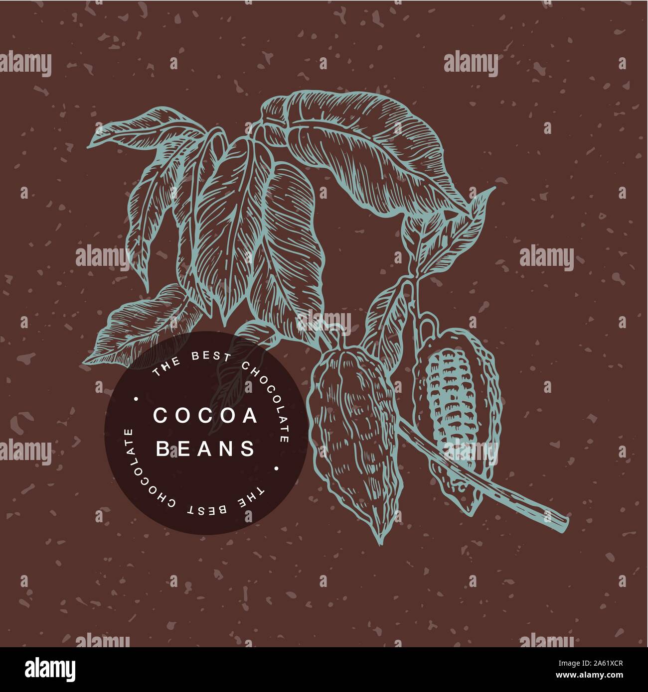 Cocoa beans branch colorful illustration. Engraved style illustration ...