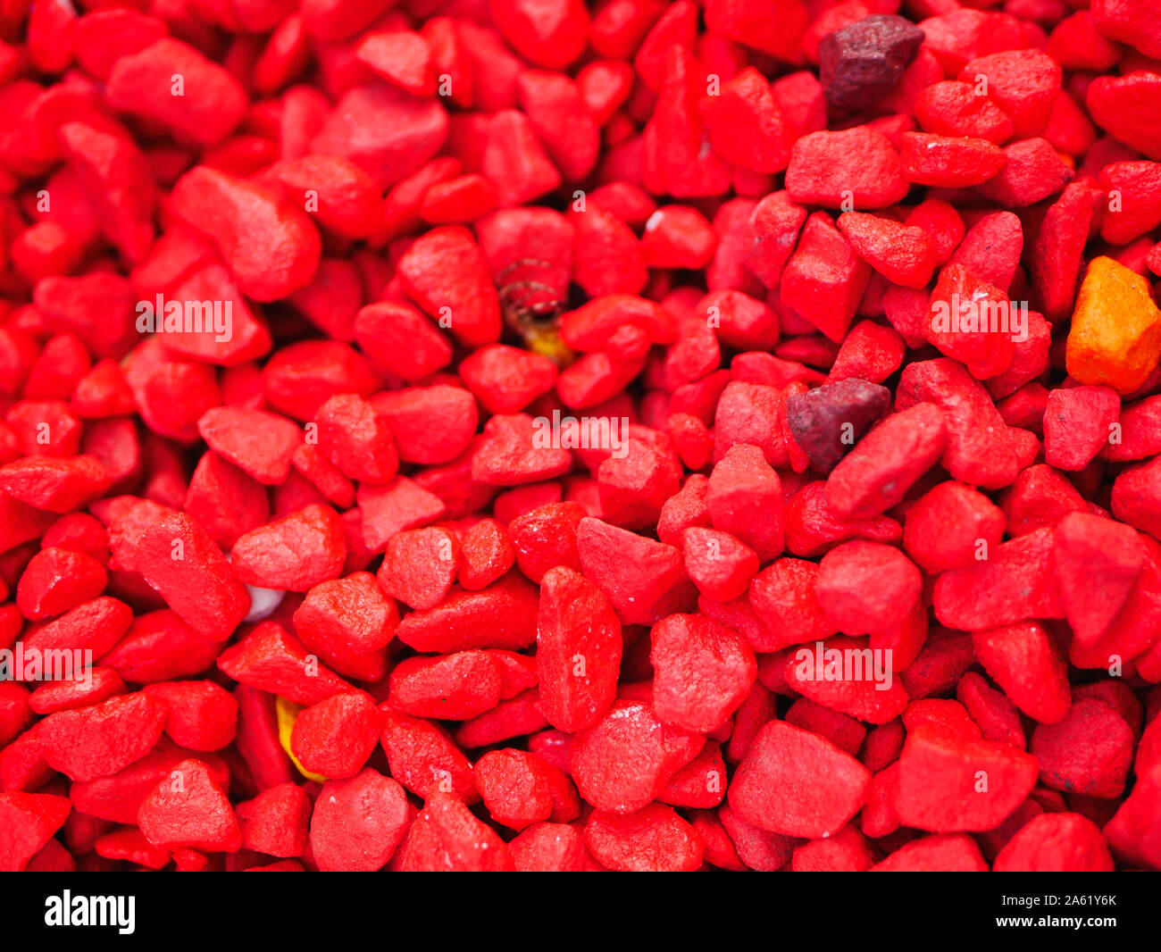 red little pebbles. The background consists of small red pebbles. With ...