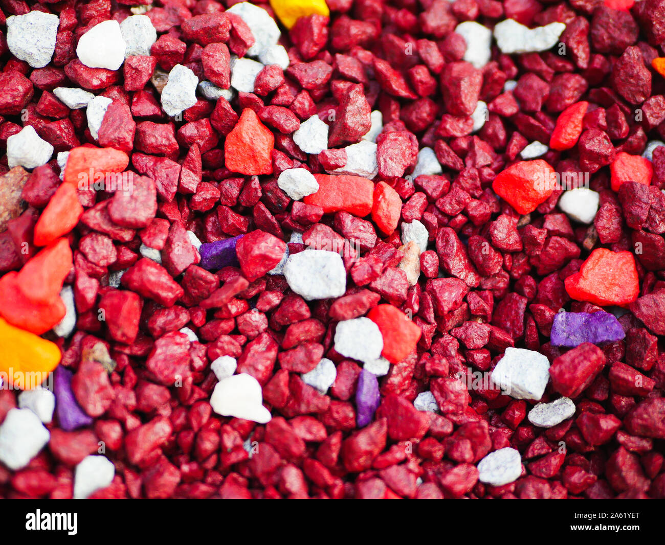 red little pebbles. The background consists of small red pebbles. With ...