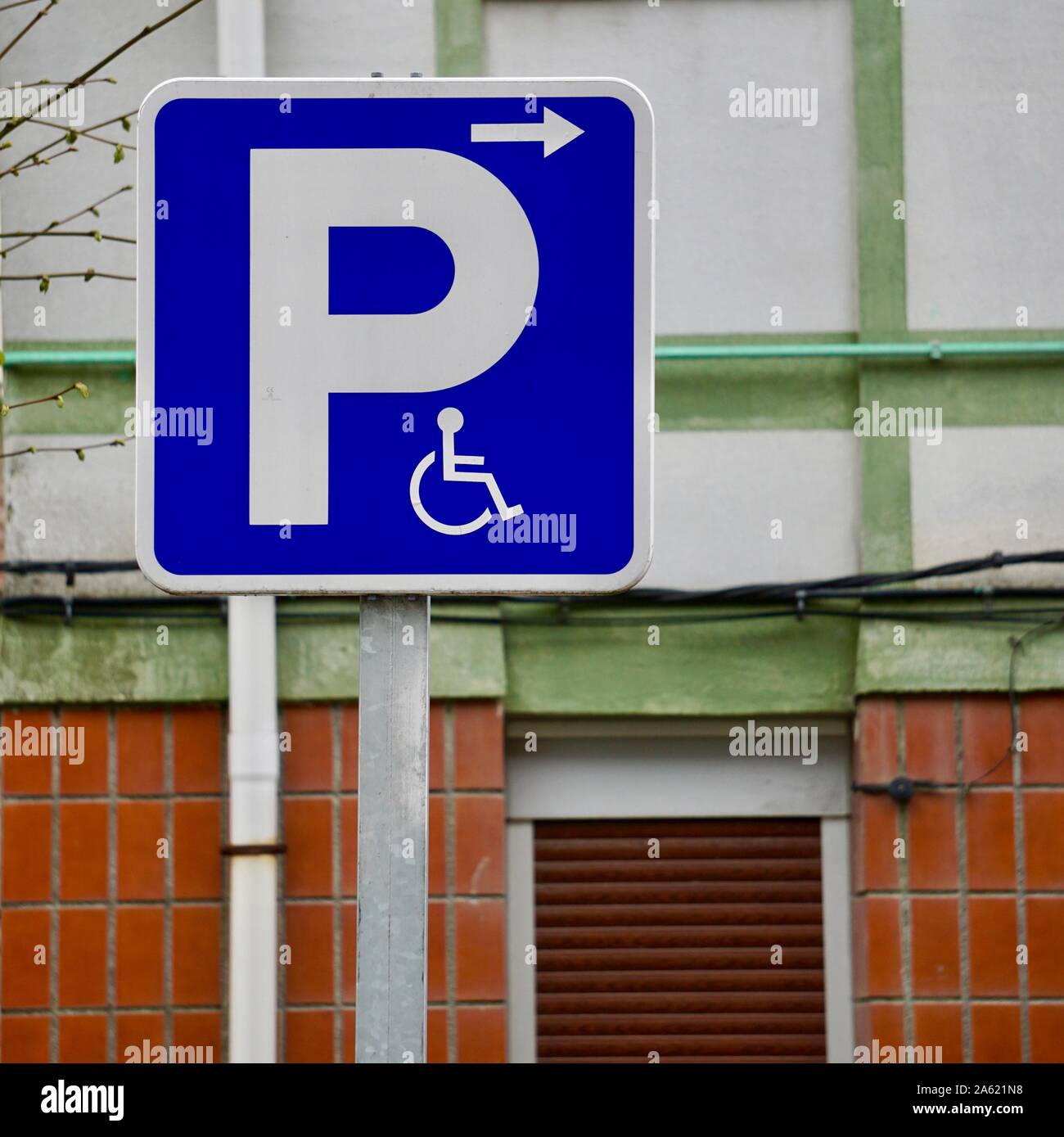 wheelchair traffic signal on the street in the city Stock Photo - Alamy