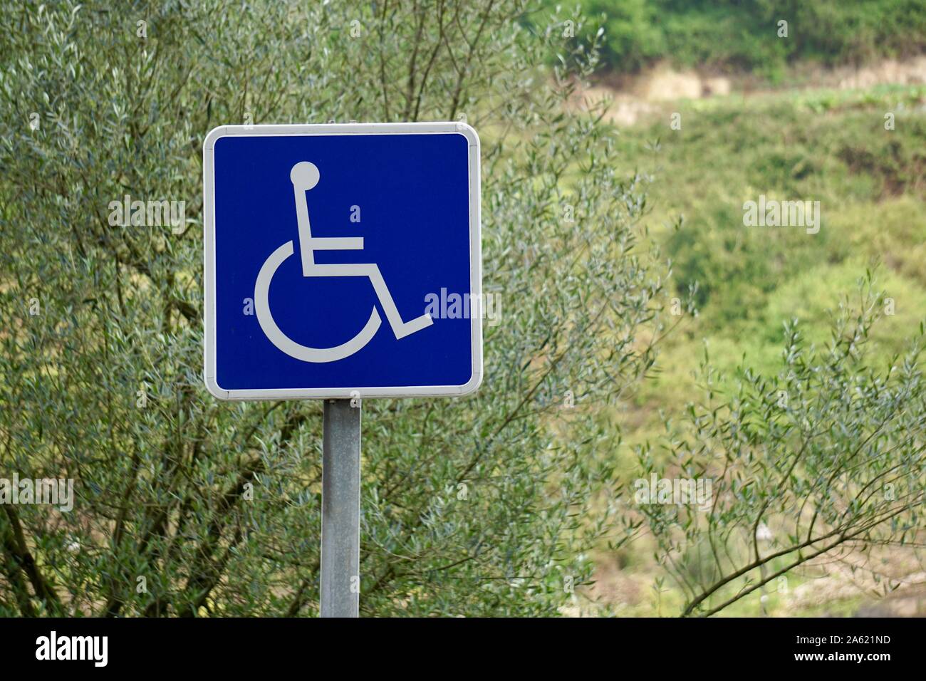 wheelchair traffic signal on the street in the city Stock Photo - Alamy